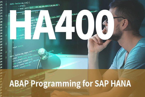 로그원코리아 - SAP 온라인 교육